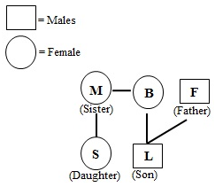 Blood Relation Test 3